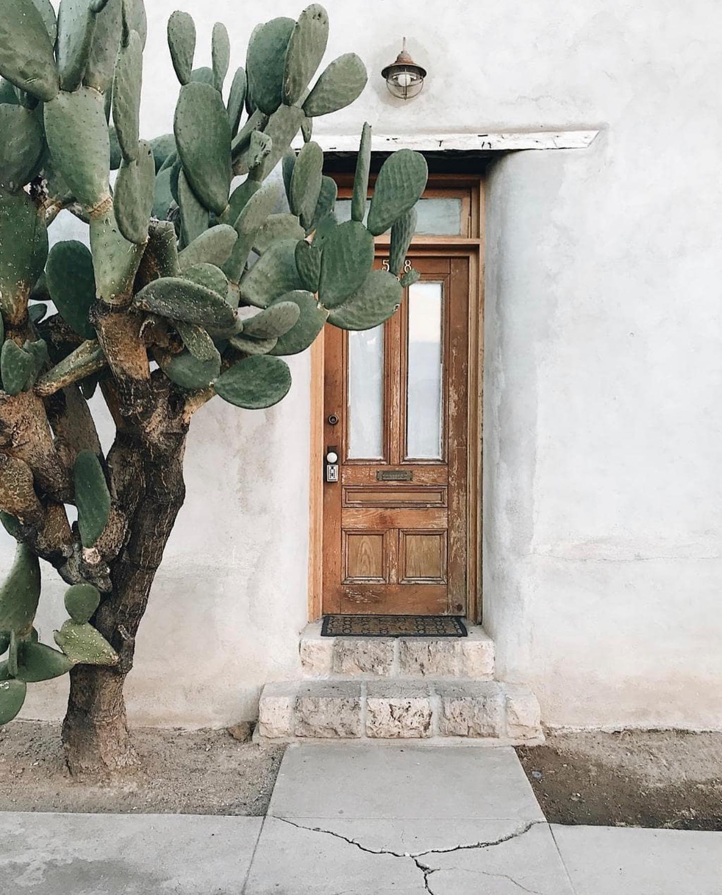 🌵WELCOME HOME GREETING🌵 I could ge – Varnish + Vine